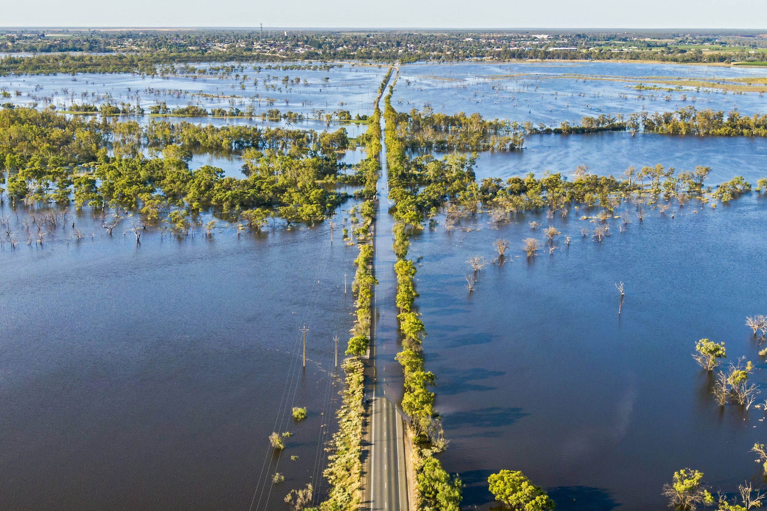 Résilience et adaptation au changement climatique - Yélé Consulting